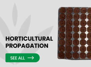 Horticultural Wholesale and Distribution | Easy Grow Ltd